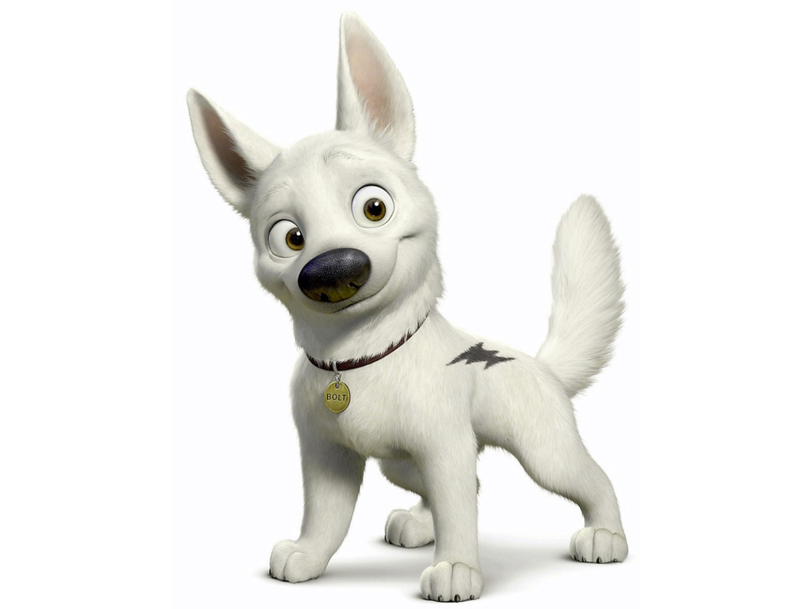 Os 10 cães mais famosos dos desenhos animados - Estrela Animal